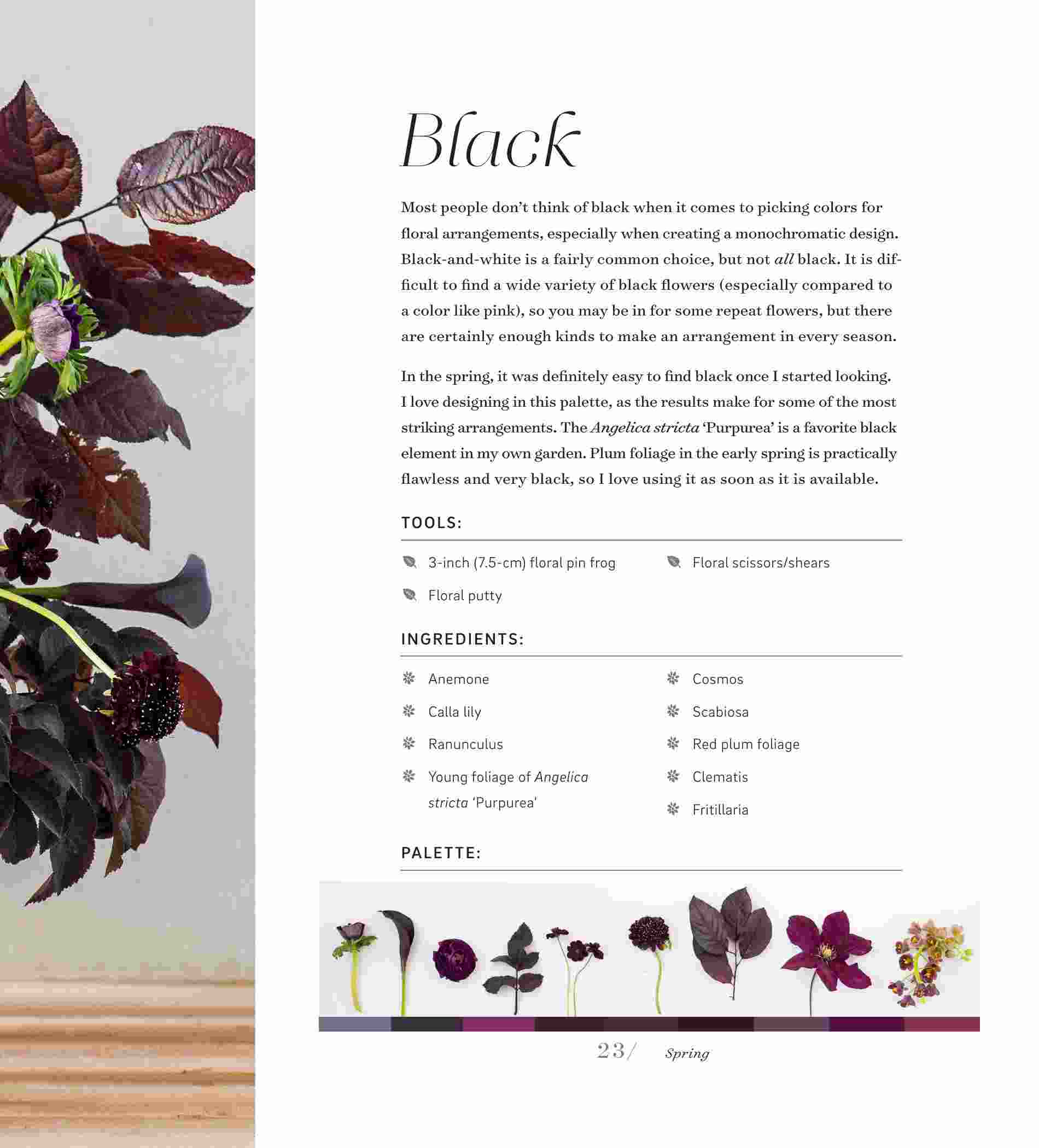 Color Me Floral: Stunning Monochromatic Arrangements for Every Season ...