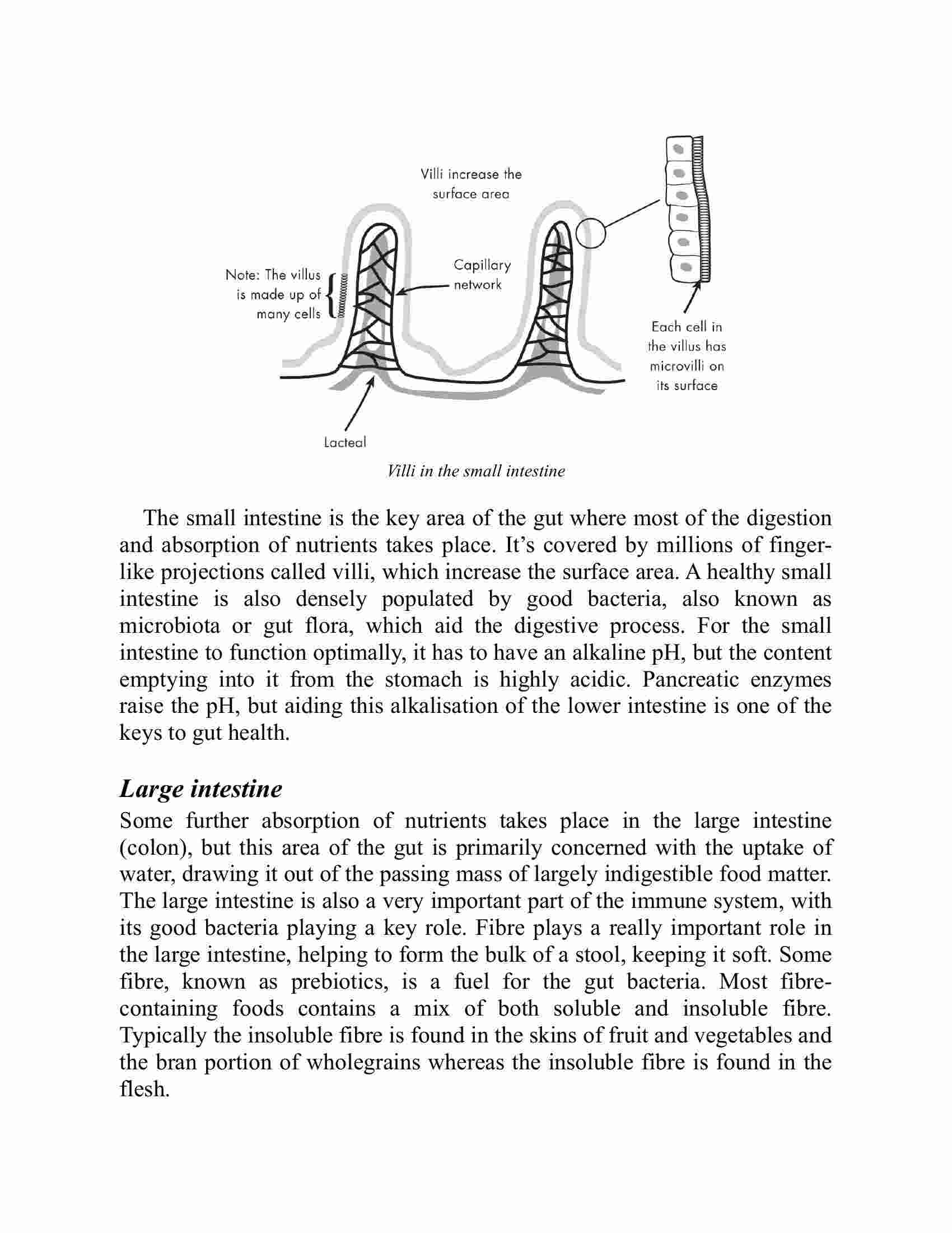 Fuelling the Cycling Revolution: The Nutritional Strategies and Recipes ...