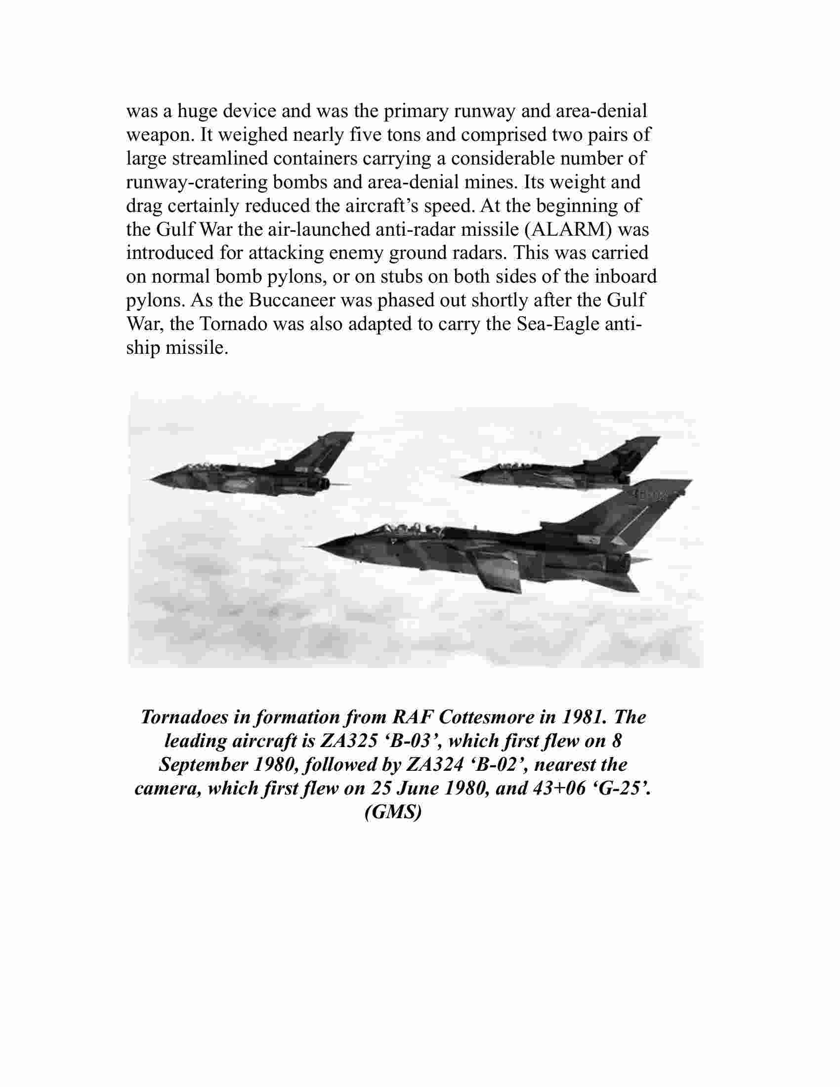 Panavia Tornado: Strike, Anti-Ship, Air Superiority, Air Defence ...