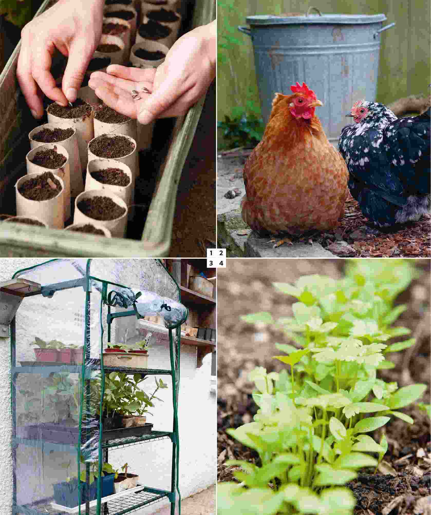 Self-Sufficiency for the 21st Century: The Complete Guide to ...