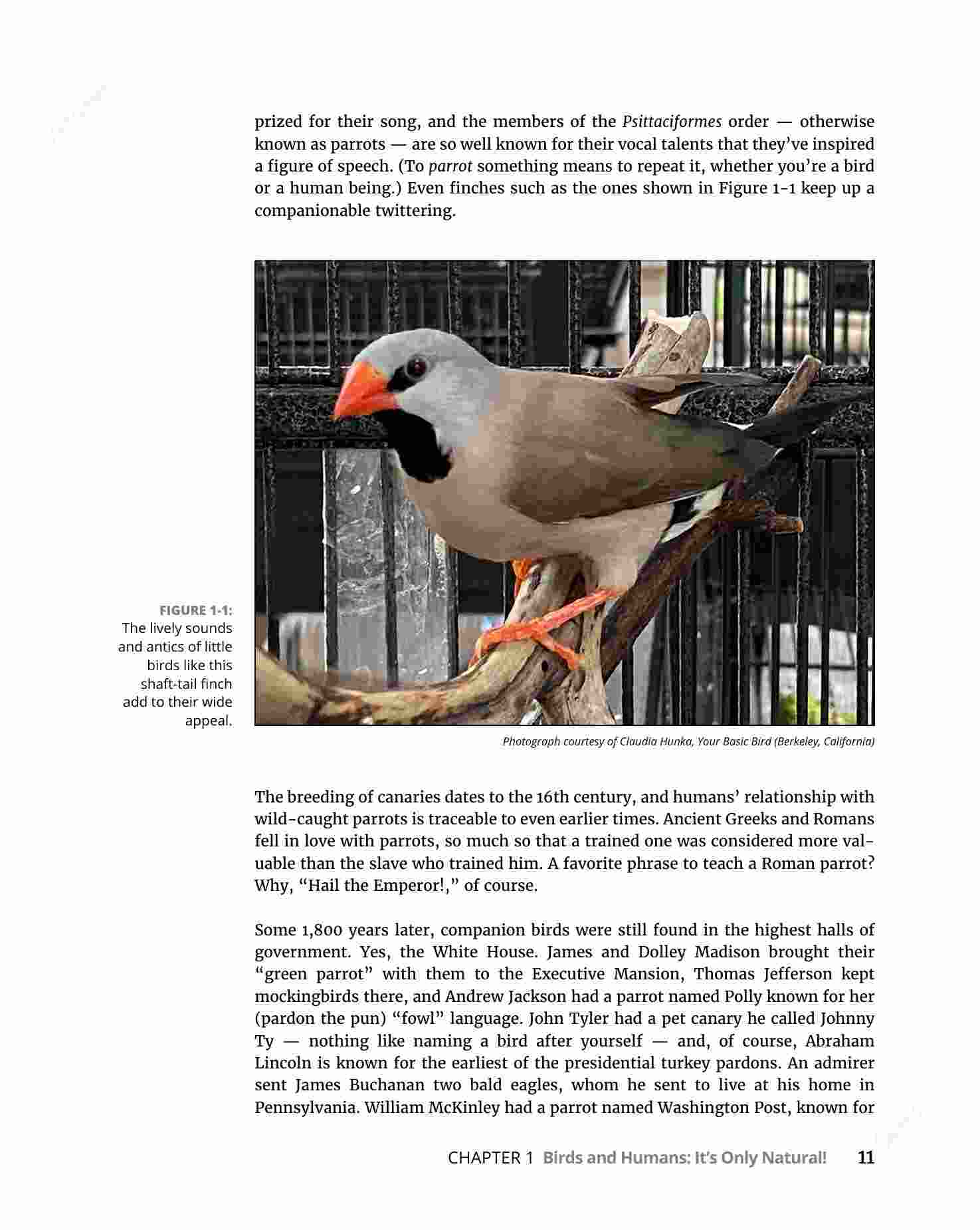 Birds For Dummies, 2nd Edition – FULL INSTANT DOWNLOAD | PDF DOCX EPUB – Ebooks For Homemaders